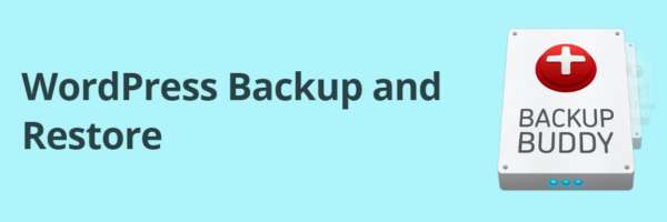 How to Know Which WordPress Backup Plugin is for You - Newt Labs